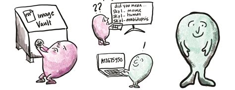 Blog Data Science By Design