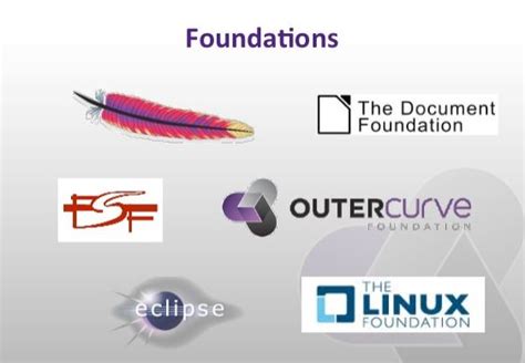 Between The Poles The Evolution Of The Open Source Software Foundation