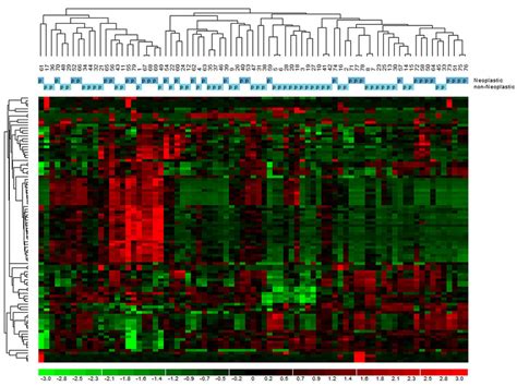 unsupervised analysis of gene expression profiles in normal tissue of