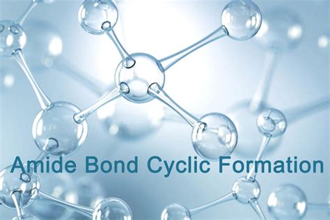Amide Bond Formation In Cyclization Amide Bond Cyclization Qyaobio