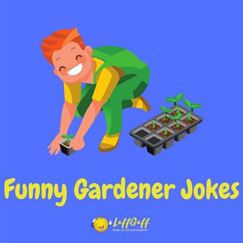 84 Funny Tree Jokes And Puns LaffGaff Home Of Laughter