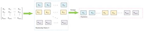 an enhanced fcm clustering method based on multi strategy tuna swarm