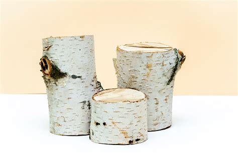 나무 그루터기 연단 나무 껍질 나무 모형 템플릿 천연 유기 에코 스파 화장품 의학 오일 크림 필수 혈청 복사 공간을 가진 허브 동종 요법 제품의 개념 0명에 대한 스톡 사진