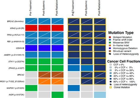 Heatmap Demonstrating Identified Genomic Alterations In Each Sample Download Scientific Diagram