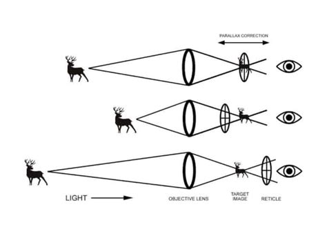What Is Parallax On A Rifle Scope Accurateordnance