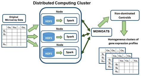 A Hybrid Multi Objective Whale Optimization Algorithm For Analyzing