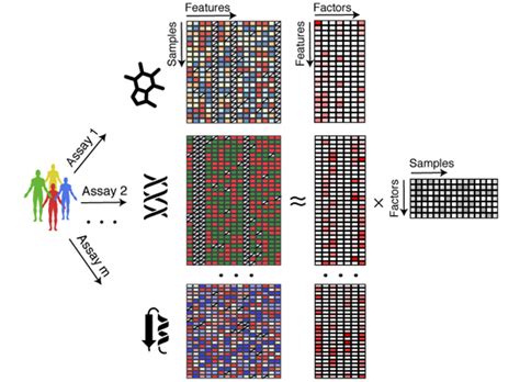 Multi‐omics Factor Analysis—a Framework For Unsupervised Integration Of Multi‐omics Data Sets