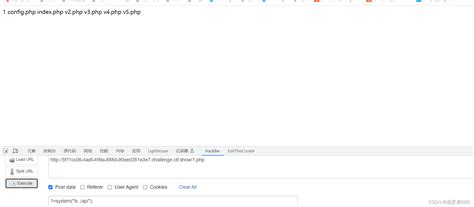 Ctfshow Sql Csdn