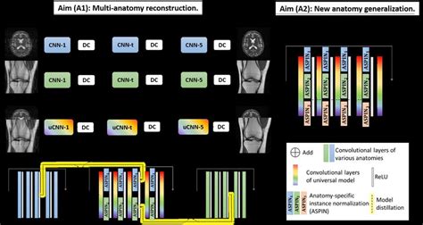 The Overall Framework For Universal Undersampled Mri Reconstruction Download Scientific Diagram