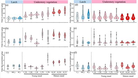 Violin Plots Representing Concentrations Of Foliar K A Ca B Mg Download Scientific