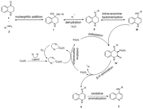 一种钯和铜协同催化氧化芳构化制备4 胺基喹啉类衍生物的方法