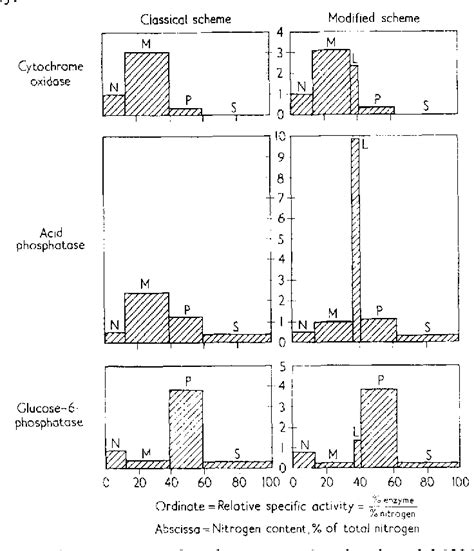 Figure 1 From Principles Of Tissue Fractionation Semantic Scholar