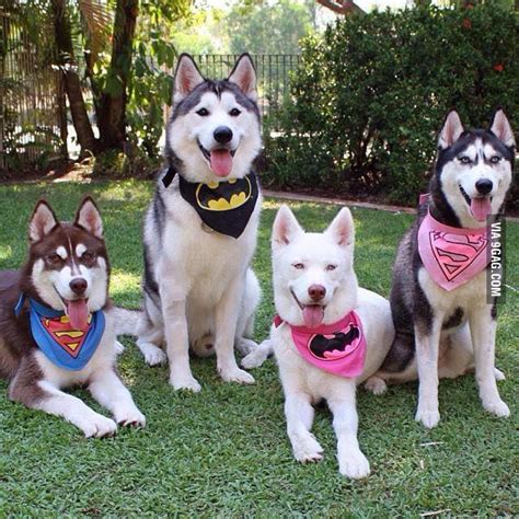 My Super Heroes 9GAG