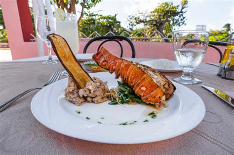 구운 랍스터는 으깬 감자 튀긴 바나나 야채 쌀 칵테일 한 잔과 함께 접시에 아름답게 놓여 있습니다 야외 레스토랑에서 비싼 저녁 식사 쿠바에 대한 스톡 사진 및 기타 이미지