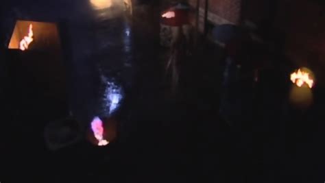 Janine Loves Jenna Jenna Jameson