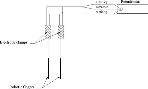 Connection Of The Gripper Electrodes To The Edaq Potentiostat Download Scientific Diagram