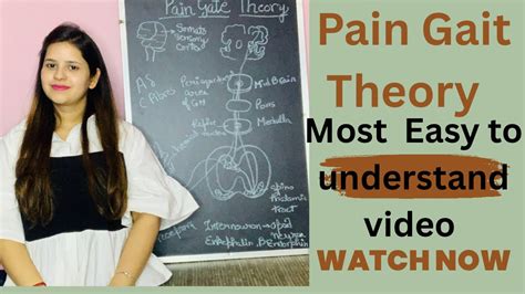 Pain Gait Modulation Electrotherapy Physiotherapist Education