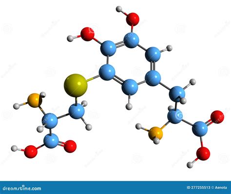 3d Image Of Cysteinyldopa Skeletal Formula Stock Illustration Illustration Of Treatment