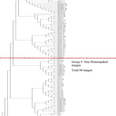 Phylogenetic Tree 1 In Rectangular Shape For Degradednon Degraded And