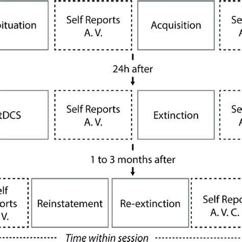Approach Avoidance Task Aat Results A Approach And Avoidance Download Scientific Diagram