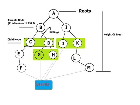 data structure class 12 pptx