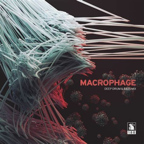 Stream Macrophage Deep Drum And Bass Mix By F1rstpers0n Listen Online