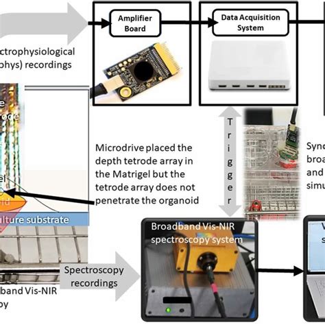 Experimental Setup Combining Broadband Visnear Infrared Spectroscopy Download Scientific