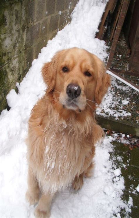 Eric Hugo Roméo Crema Dignity