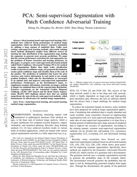 Pca Semi Supervised Segmentation With Patch Confidence Adversarial Training Deepai
