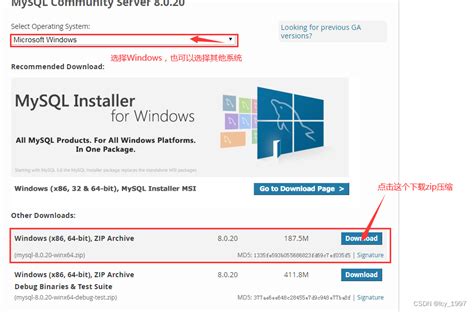 Mysql数据库安装过程mysqldatadll Csdn博客