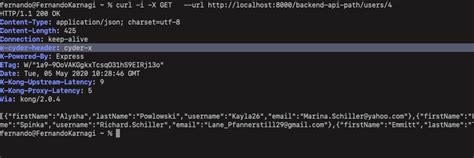 developing custom plugin motivation by fernando karnagi kong api devops lab medium