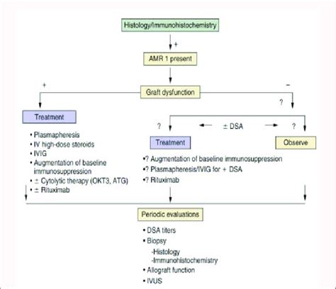 The Following Algorithm Shows The Systemic Approach Of Management Of