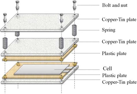 Cell Compression Set Up Download Scientific Diagram
