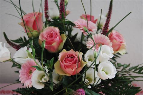 Bilder Von Karoline Müller