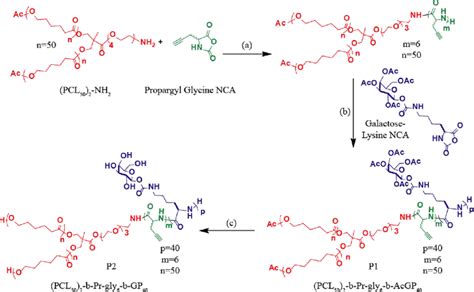 Scheme 2 Synthesis Of Amphiphilic Miktoarm Star Copolymer Pcl 50 2 Download Scientific