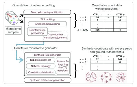 Summary Of The Workflow For Quantitative Microbiome Profiling Qmp Download Scientific