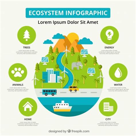 Free Vector Ecosystem Infographics Infographic Ecosystems