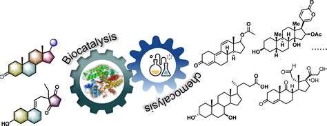 Chemoenzymatic Synthesis Of Steroidal Products Recent Advances Zheng