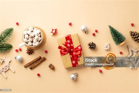 크리스마스 개념 고립 된 베이지 색 배경에 활 보블 나무 장식품 도토리 소나무 가지 콘 머그잔의 코코아 겨우살이 말린 감귤류 조각과 계피가있는 공예 종이 선물 상자의 탑 뷰