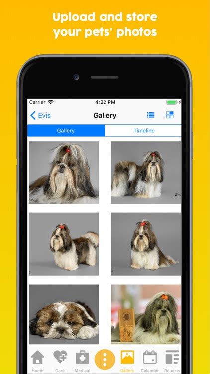 11pets Pet Care By 11pets