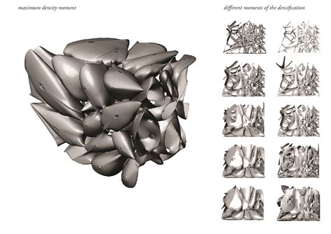 Combining Systems Using Diffusion Limited Aggregation Iaac Blog