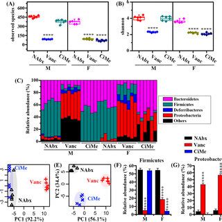 Sex Differences In Antibiotic Effects On The Gut Microbiota At The