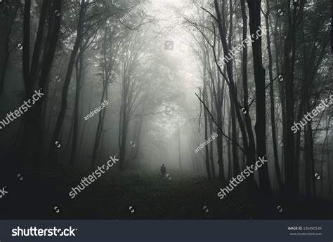 Dark Forest Man Walking On Path Stock Photo 230480539 Shutterstock