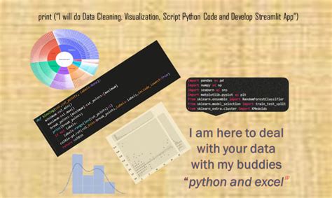 Do Data Cleaning Visualization Script Python Code And Develop Streamlit App By Haseebshaikh93