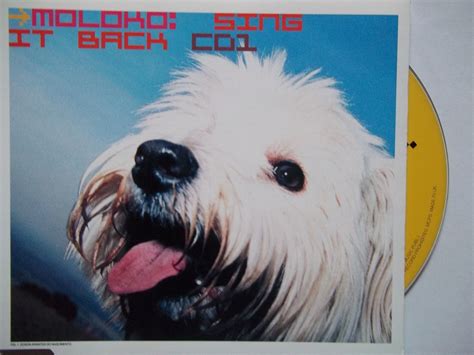 Sing It Back By Moloko Cds With Anchormusic Ref