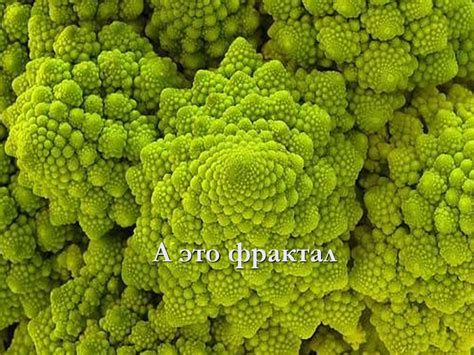 Фракталы презентация онлайн