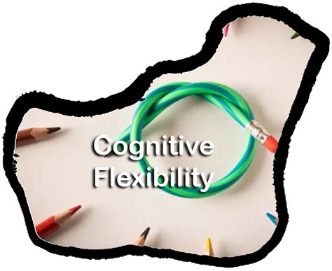 Executive Functions What Are Executive Functions New Frontiers