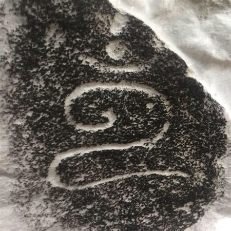 សិក្សាវាក្យសព្ទខ្មែរបុរាណ ១ ម្រតាញ ឋានន្តរនាម ២ ឝ្រីត្រៃលោក្យវិជយ ស្រី ត្រៃ លោក្យ វិជយ