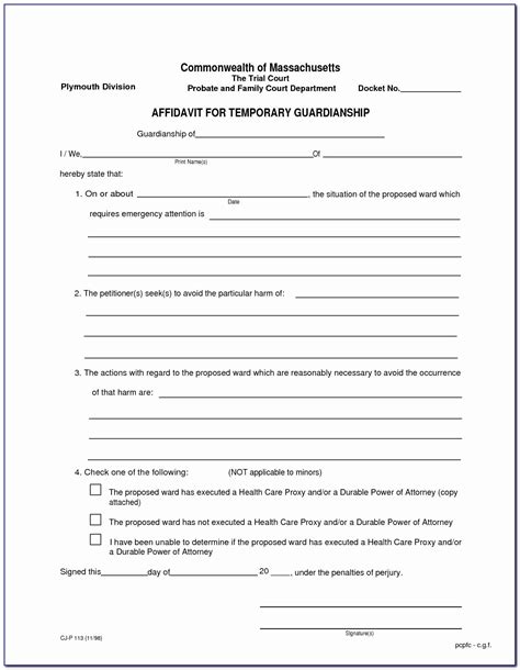 Free Printable Guardianship Forms Florida