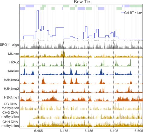 Chromatin Landscape In The Bt Interval Histograms Showing Normalized Download Scientific
